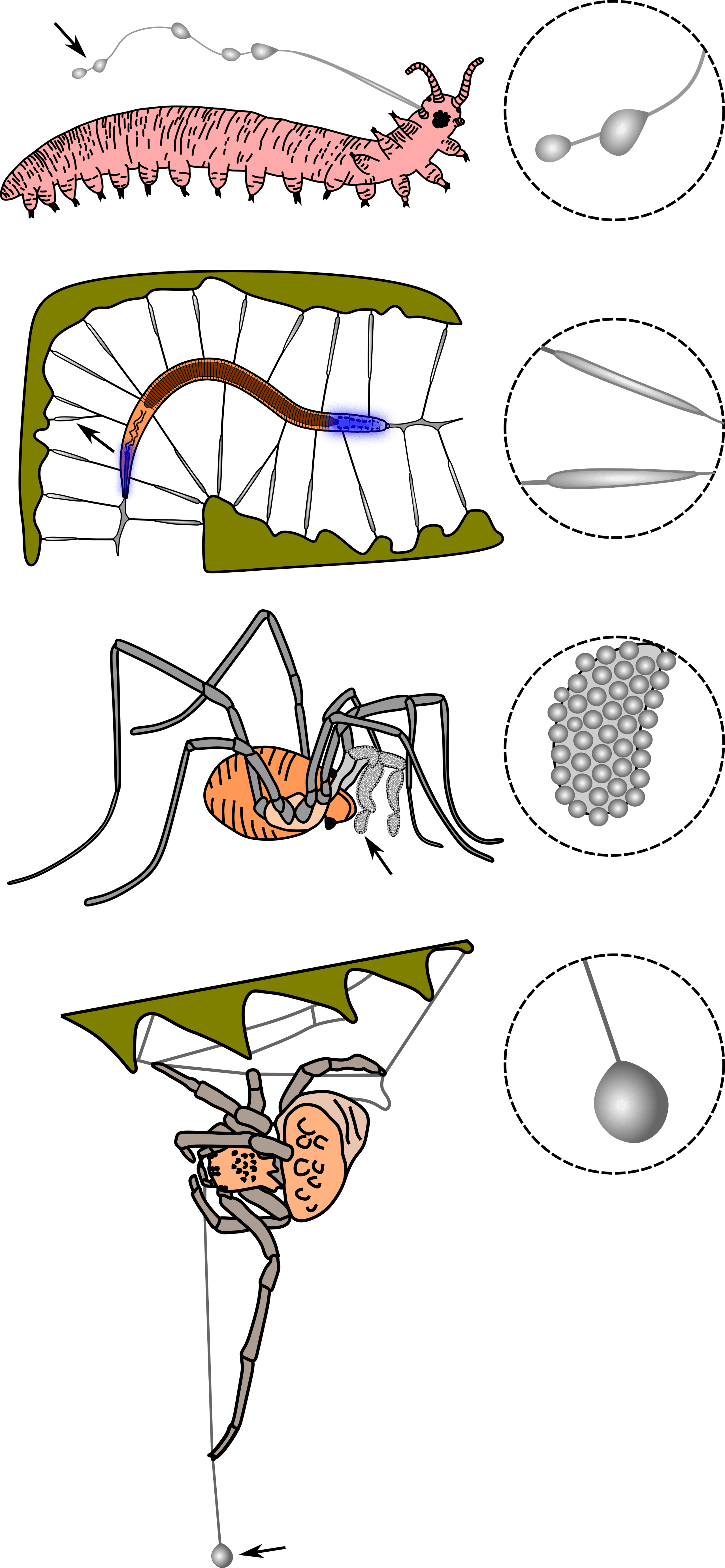 Research - Stellwagen Lab